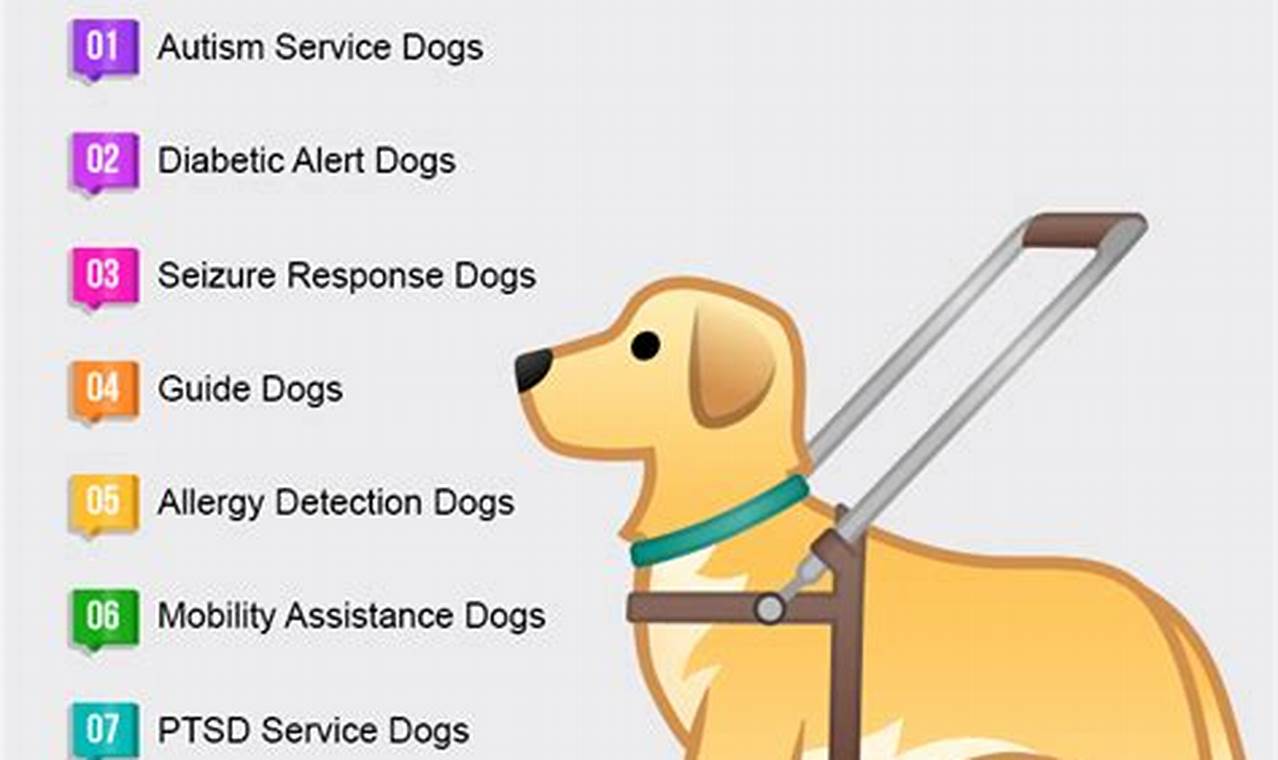 Types of Service Animals: A Complete Guide