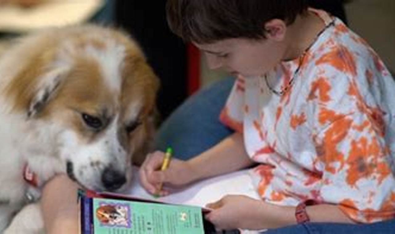 Get Therapy Dog Grants: Funding & Support