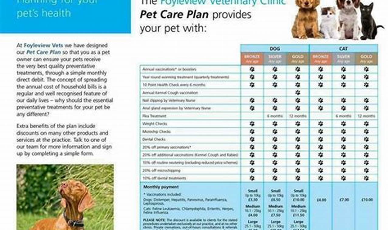Ultimate Dog Preventive Care Plan Guide