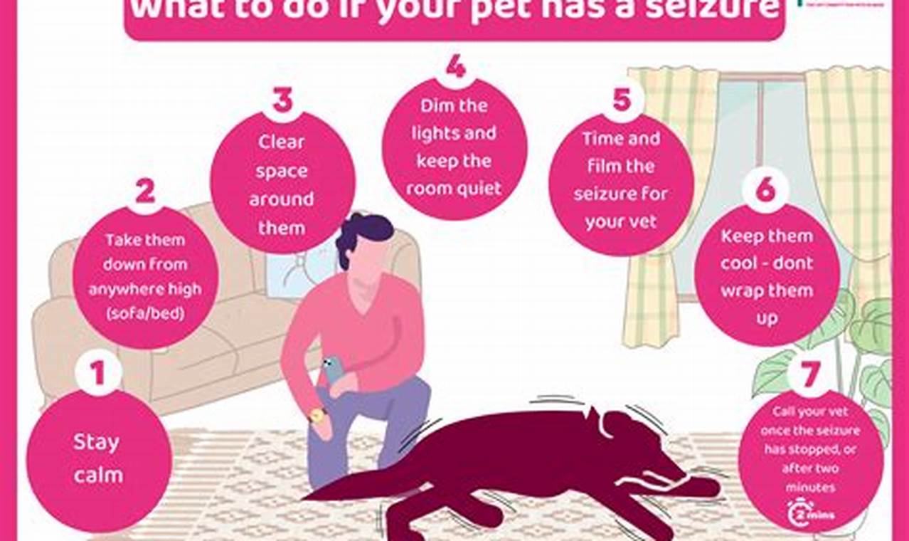 Find Seizure Alert Dogs Near You