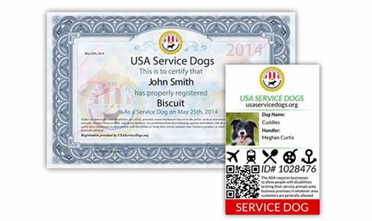 Certification Of Service Dogs