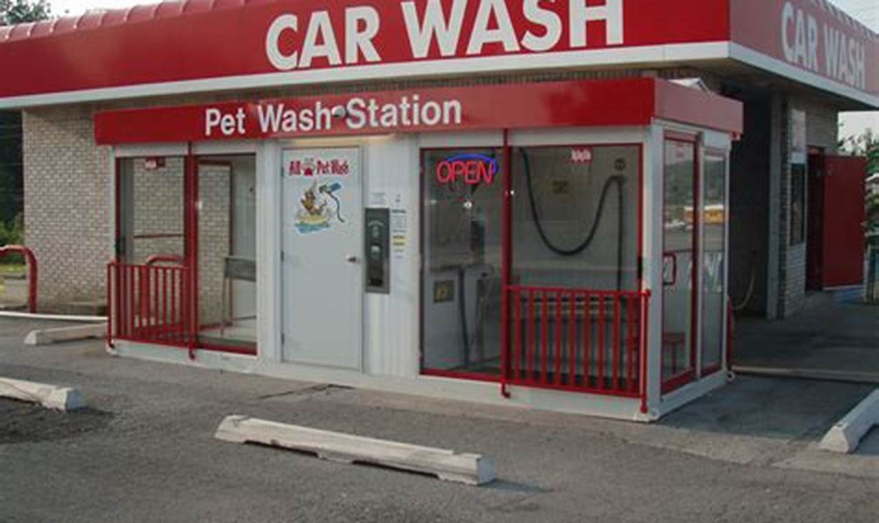 Best Car Wash & Dog Wash Near Me: Find Local Spots